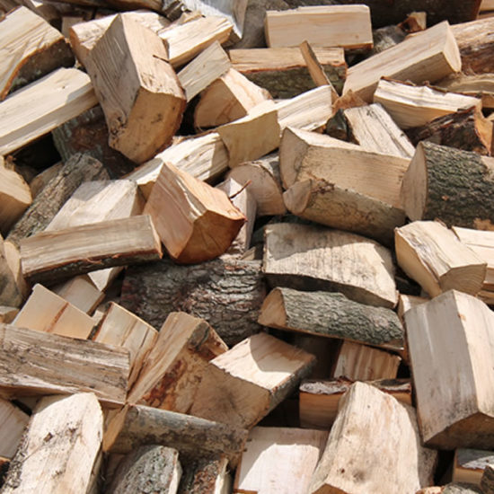 Notre entreprise - Bottarel